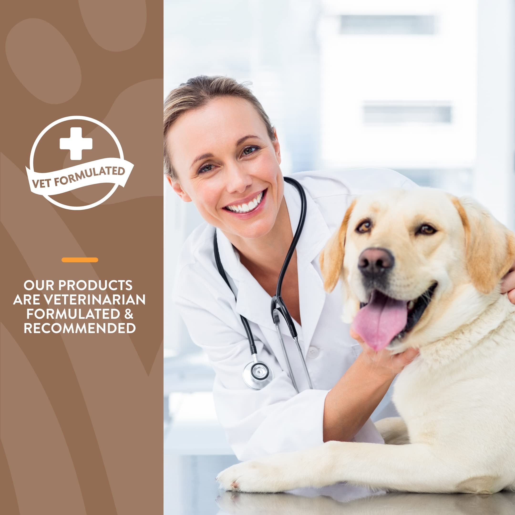 NaturVet β Advanced Probiotics & Enzymes β Supports and Balances Pets with Sensitive Stomachs β 240 ct & All-in-One Dog Supplement - for Joint Support, Digestion, Skin, Coat Care β 240 Soft Chews