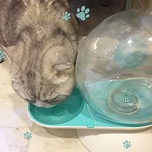 HappyCat Small Pets Water Dispenser Dogs Cats Gravity Waterer Feeder Bowl Automatic Water Drinking Fountain for Small or Medium Size Dogs Cats (Green Snail)