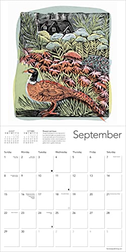 Angela Harding Wall Calendar 2024 (Art Calendar)