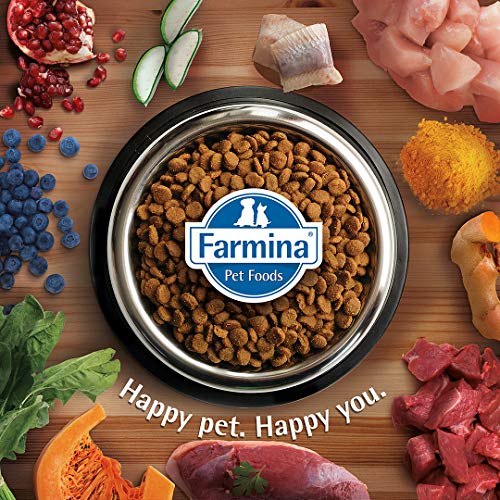 Farmina N&D Functional Quinoa Weight Management Lamb Broccoli and Asparagus Dry Cat Food 3.3 Pounds