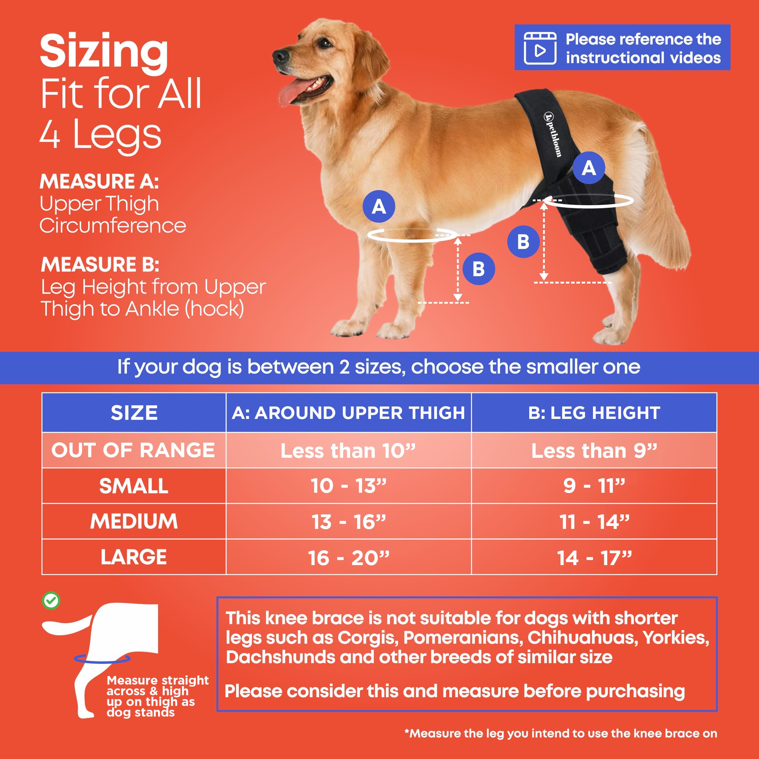 petbloom Dog Knee Brace for Torn ACL, Hip Dysplasia, Arthritis Pain Relief, Osteoarthritis, and Ligament Injuries, Adjustable Neoprene Support for Front or Hind Leg, Black (Large)