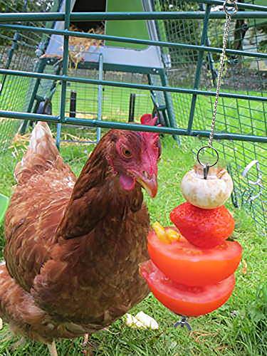 Vehomy Chicken Veggies Skewer Fruit Holder for Hens Pet Chicken Vegetable Hanging Feeder Toy for Hens Large Birds 3PCS