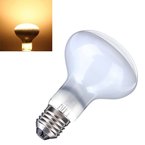 CTKcom 2-Pack 110V 75W Pet Heating Lamp,Basking Heat Spot Lamp, Reptile Heat Bulb for Turtle Aquarium Aquatic Reptile Lizard Heat Lighting E26/E27,White,2 Pcs