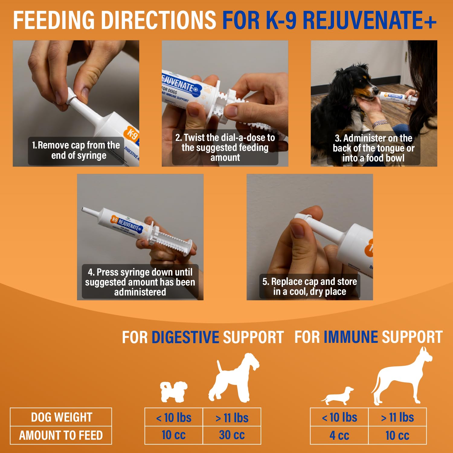 Pivotal K9 Rejuvenate+ Canine Oral Paste (60g Oral Syringe, Pack of 1) Digestive and Immune Support for Dogs - Dog Supplements for Digestion, Black