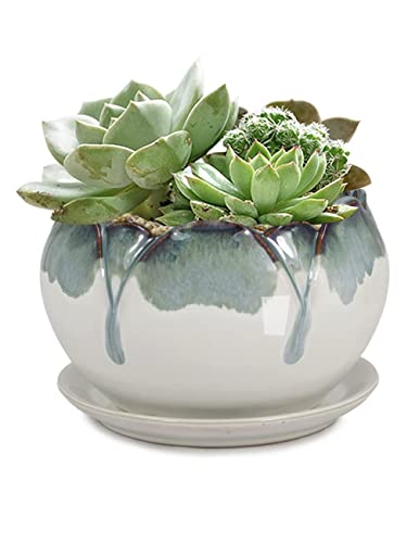 Dahlia 5.5'' Inch Rustic Drip Glazed Ceramic Planter/Succulent Pot/Plant Pot w. Saucer/Tray