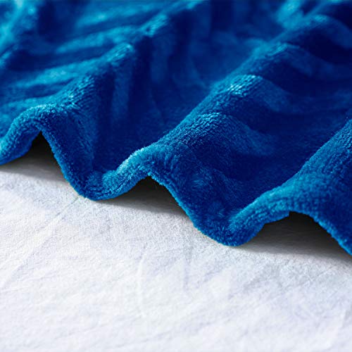 Whale Flotilla Fleece Throw Blanket for Couch, Soft Fluffy Sofa Bed Blanket with Chevron Pattern for All Season, Warm and Lightweight, 50x60 Inch, Royal Blue
