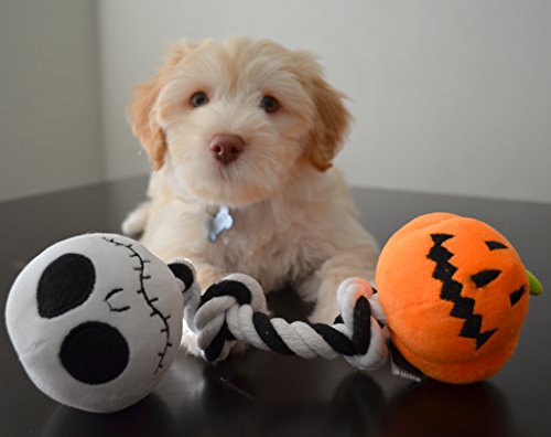 Disney Nightmare Before Christmas Pumpkin King Rope Tug Chew Dog Toy, Two Built-in Squeakers, Multi-Sensory Toy