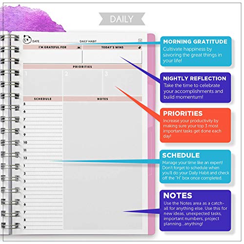 Pink Daily Planner 2.0 - Daily Planner 2023 Page a Day - Monthly, Weekly and Daily Sections Simplified - Undated Goal Oriented 3 Month Agenda Planner by Panda Planner - 5.75β x 8.25β
