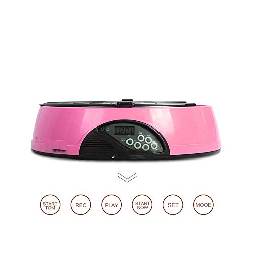 ZZK Automatic pet Feeding Bowl 6 cat Meal time quantitative Feeder Dogs, Cats and Dogs Intelligent Automatic Drink Cups LCD Display,B