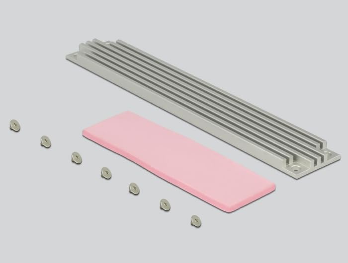 DeLOCK U.2 SFF-8639 to M.2 NVMe Key M/U.2 SFF-8639 Mounting Frame Converter with