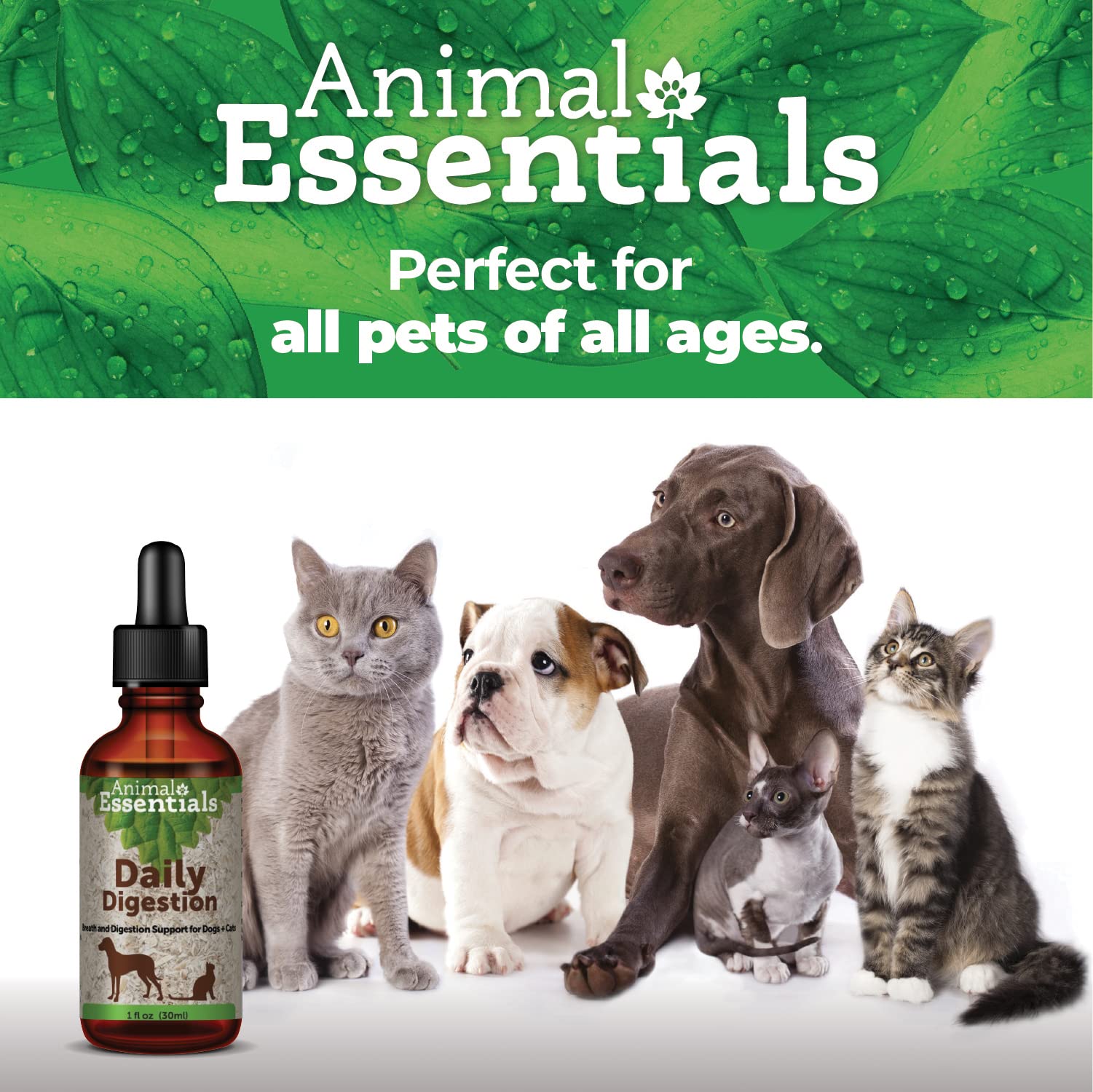 Animal Essentials Daily Digestion for Dogs & Cats - Digestive Support, Fresh Breath, Ginger Root, Fennel Seed Extract, Liquid Supplement - 2 Fl Oz