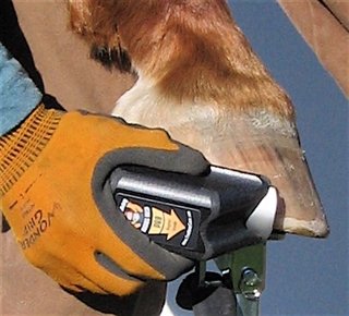 EVO Hoof Care Radius Rasp-2 'PRO' Solid Stainless SteelĀ Replacement Rasp-Tooth Blade