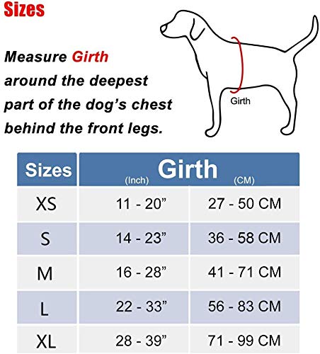 PoyPet No Pull Dog Harness, Reflective Comfortable Vest Harness with Front & Back 2 Leash Attachments and Easy Control Handle Adjustable Soft Padded Pet Vest for Small to Large Dogs (Mint Blue,M)
