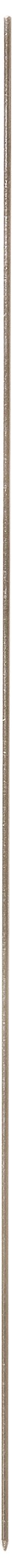Drummond Scientific 3-000-000-203X Pointed Plunger Wire for Nanoject II Auto-Nanoliter Injector