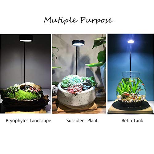 Hiro Aquatics Full Spectrum LED Light with Bamboo Board, Fits Aquarium Nano Tank, Betta Fish Tank, Potted Plants, Succulents, Miniature Landscape – 9W