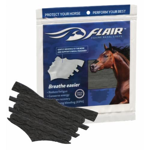 Flair Nasal Strip Single Pack Turquoise Standard