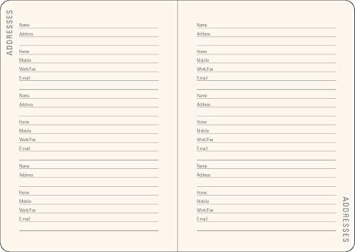 2023 Sea Turtles Weekly Planner (16 months, Sept 2022 to Dec 2023)