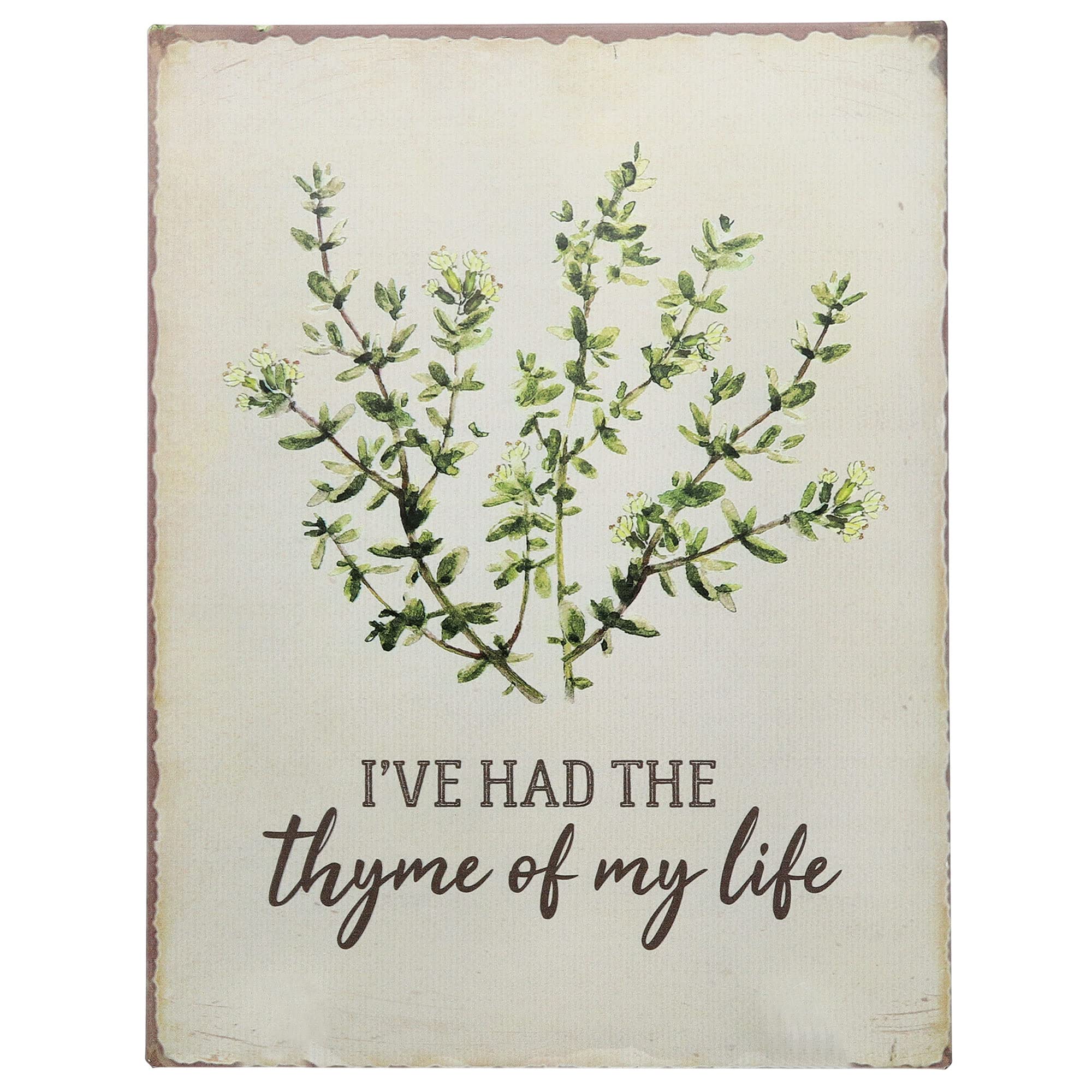 Barnyard Designs I’ve Had The Thyme Of My Life Funny Retro Vintage Tin Bar Sign Country Home Decor 13” x 10”