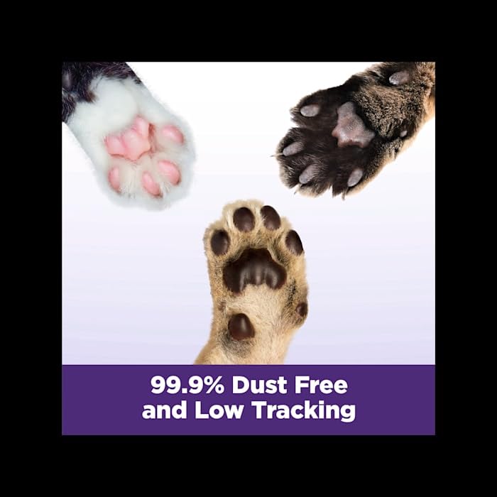 Arm & Hammer Slide Cat Litter - Clumping Multi-Cat, 38 lbs.