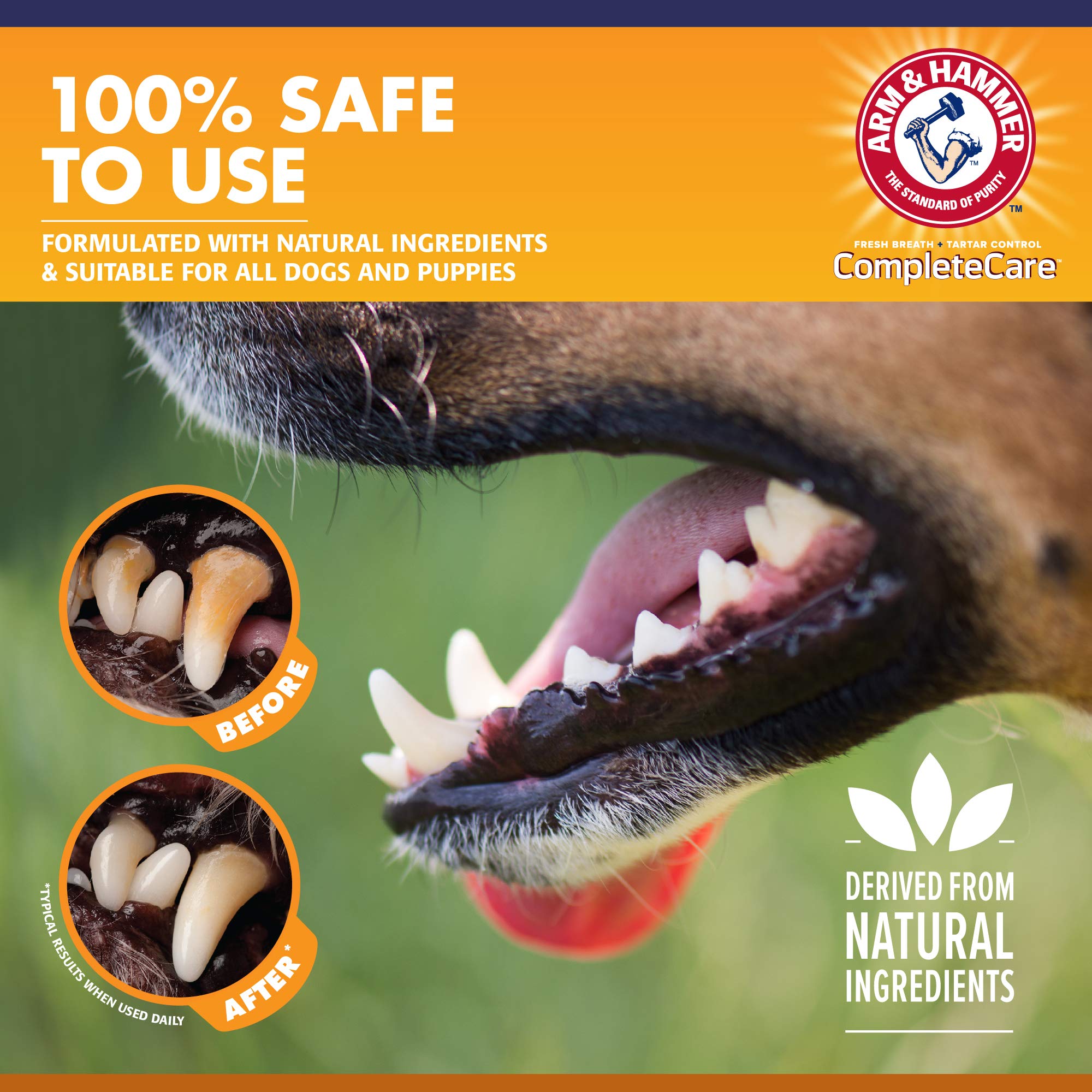 Arm & Hammer Enzymatic Dog Toothpaste - Peanut Butter Flavored Toothpaste - Baking Soda Infused Toothpaste - Complete Canine Oral Care for Fresh Breath & Dental Wellness - Doggie Toothpaste - 6.2 oz