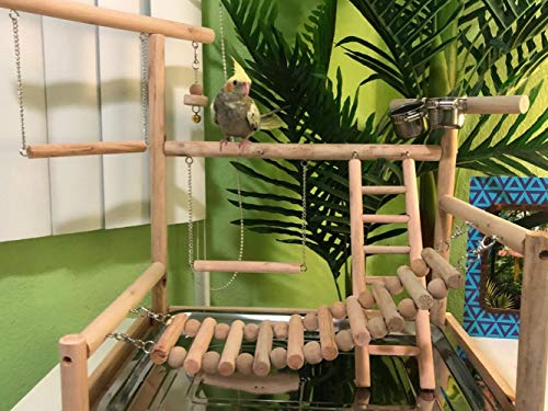 Mrli Pet Large Parrots Playstand Bird Playground Wood Perch Gym Stand Playpen Bird Ladders Exercise Playgym with Feeder Cups for Electus Cockatoo Parakeet Conure Cockatiel Exercise Toy