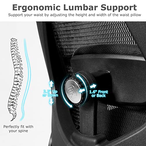 Giantex Ergonomic Office Chair, Mesh Office Chair with Adjustable Headrest, Tilt-Down Backrest Mesh Adjustable High Back Office Chair, Breathable Computer Desk Chair, Mesh Back Office Chair