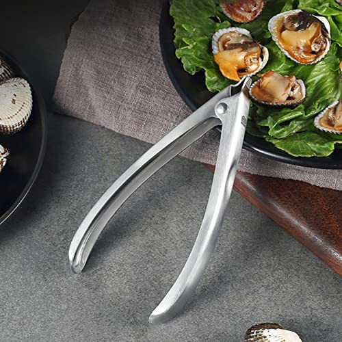BESTonZON 1pc Peeler Opener Handle Scald Shell Crackers Tool Practical Nut Oyster Steel Clam Seafood Stainless Duty Sunflower Holder Shucker Anti- with Kitchen Silver Almonds Walnut