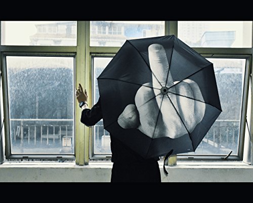 DS. DISTINCTIVE STYLE Middle Finger Umbrella Funny Folding Umbrella Creative Middle Finger Gifts