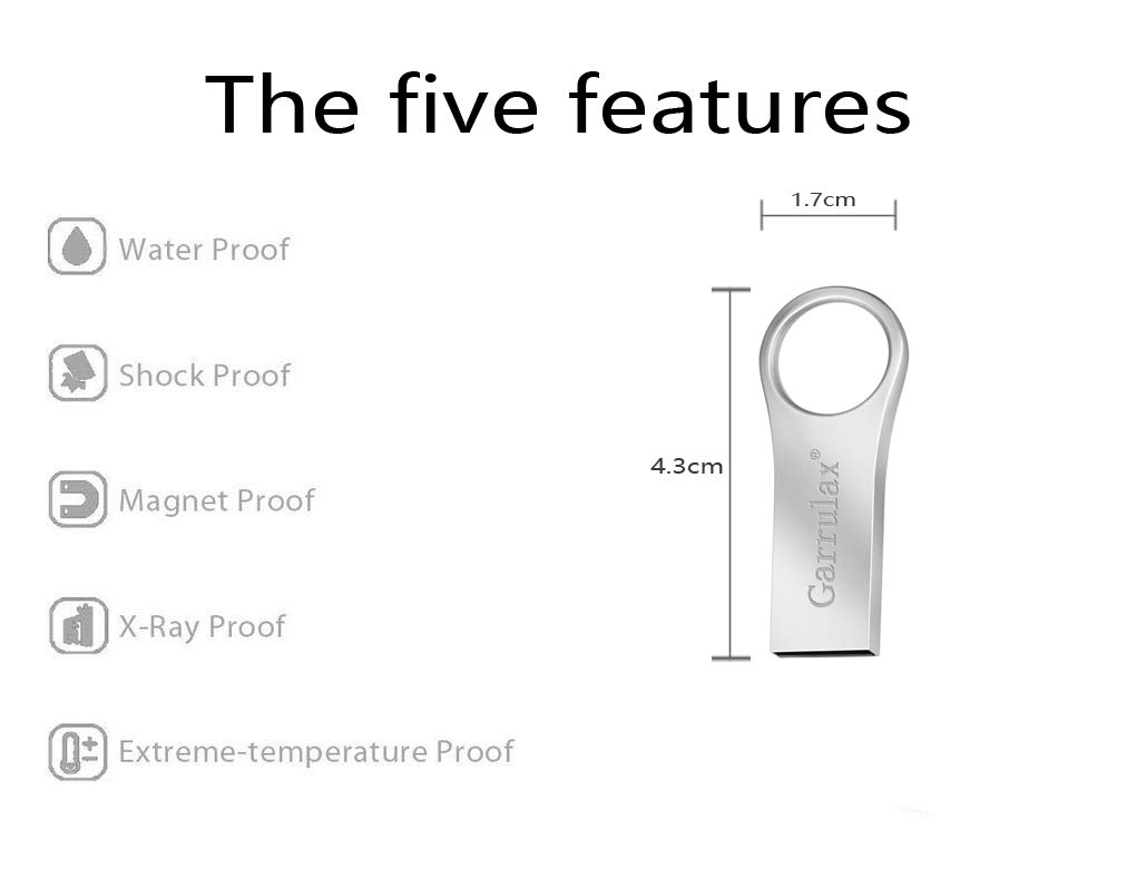 GARRULAX USB Flash Drive, 8GB / 16GB / 32GB / 64GB USB 2.0 Metal USB Memory Stick Date Storage Pendrive Thumb Drives (16GB, Silver)
