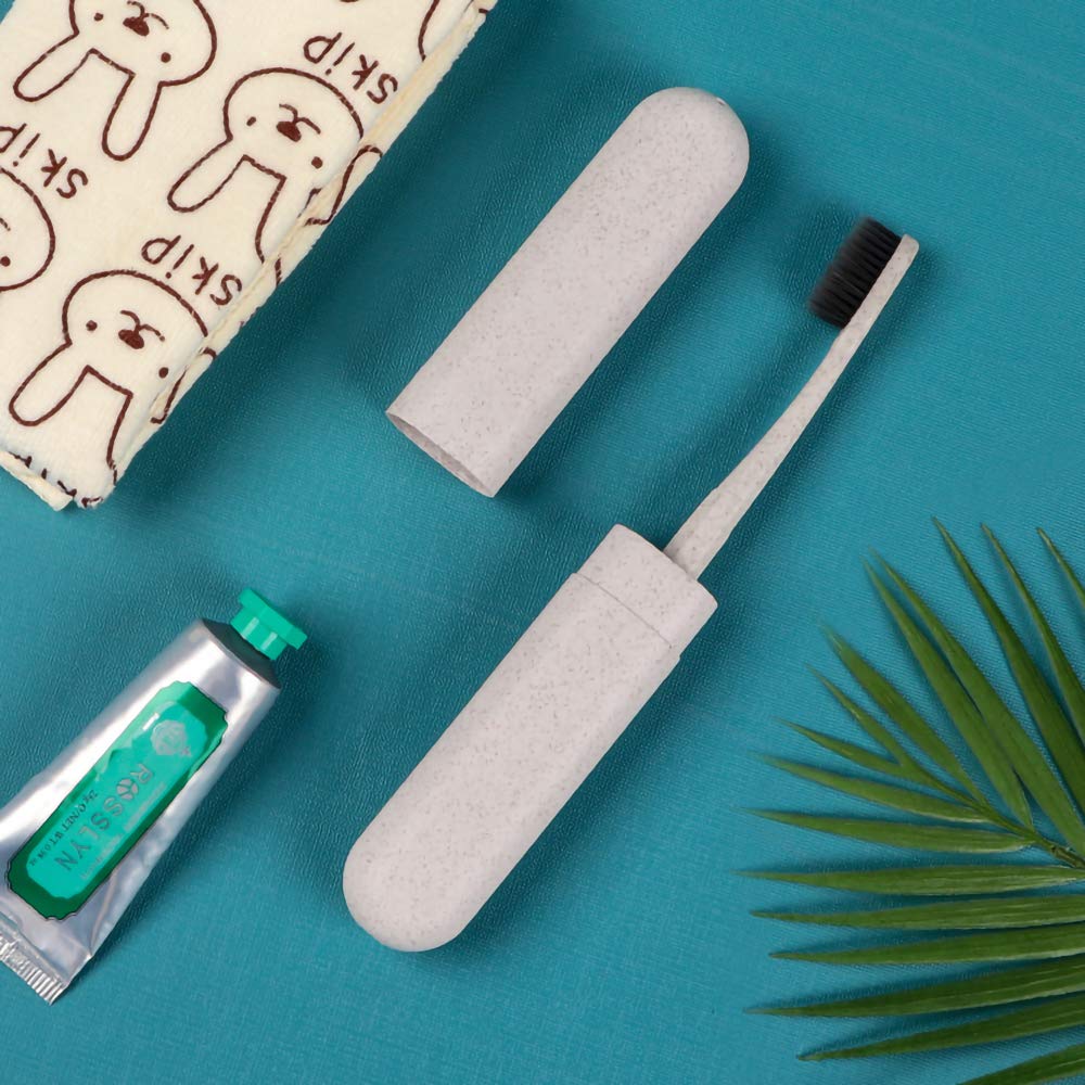 Travel Toothbrush Case Plastic Portable Toothbrush Holder for Travel, Business, Home, Camping, School(2 Pcs, Blue)