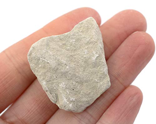 EISCO 12PK Raw Limestone Chalk, Sedimentary Rock Specimens - Approx. 1" - Geologist Selected & Hand Processed - Great for Science Classrooms - Class Pack Labs