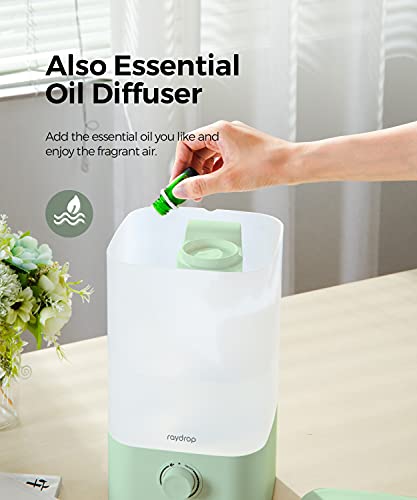 raydrop Cool Mist Humidifier Diffuser, 2.5L Essential Oil Diffuser, Top Fill Humidifier for Bedroom, Home and Office, Baby Humidifier with Adjustable Mist Output, Sleep Mode, Auto Shut Off