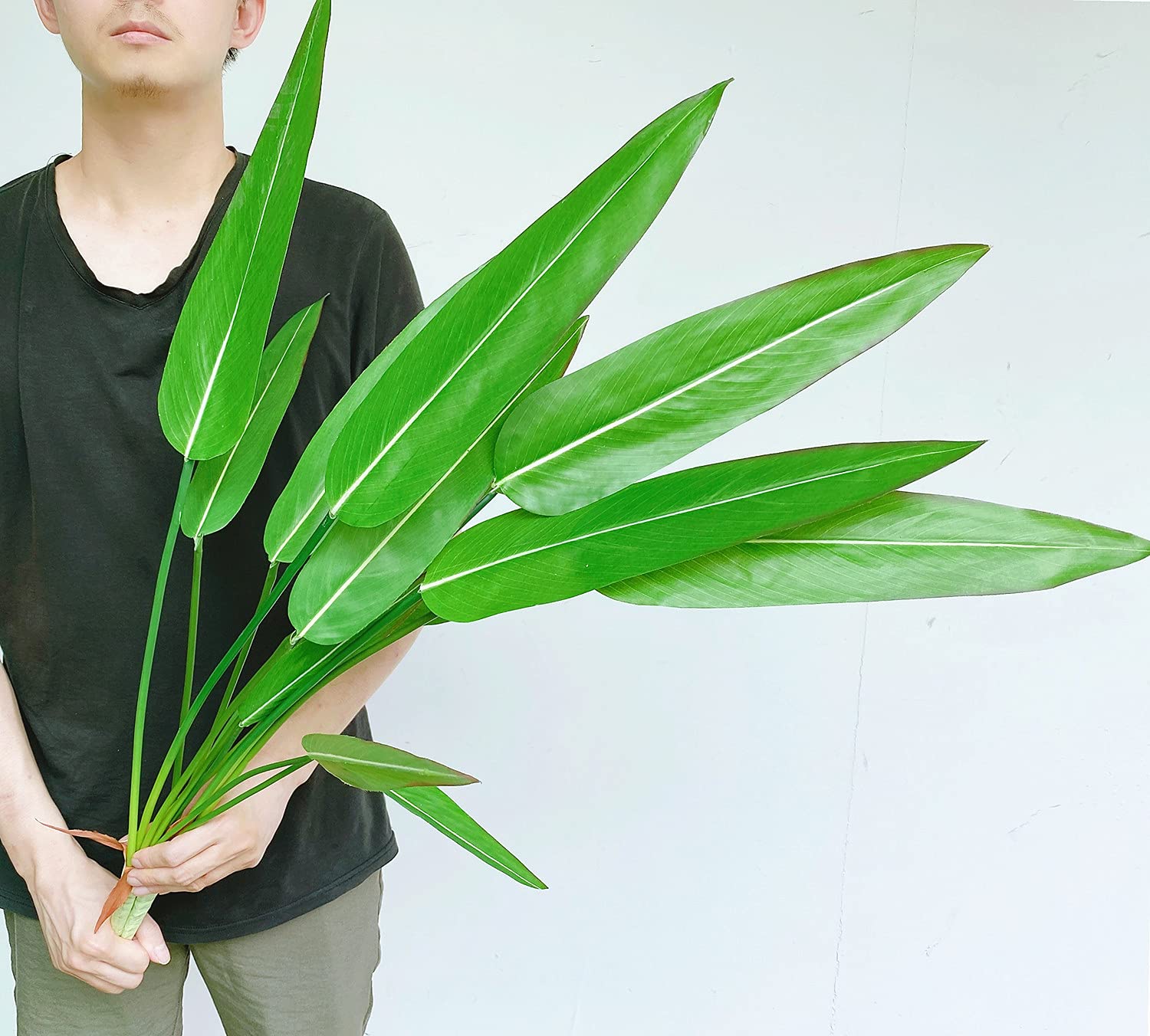 Artificial Tropical Palm Leaf Bush Greenery Plastic Faux Bird of Paradise Fake Eva Curcuma Plant Bundle with 7 Leaves for Home Garden Office Store Decoration (Green - Pack of 2 pcs)