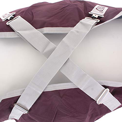 Horseware Ireland Amigo Hero Ripstop Turnout Blanket (50g Medium-Lite), Size: 78, Color: Fig (Silver Trim)