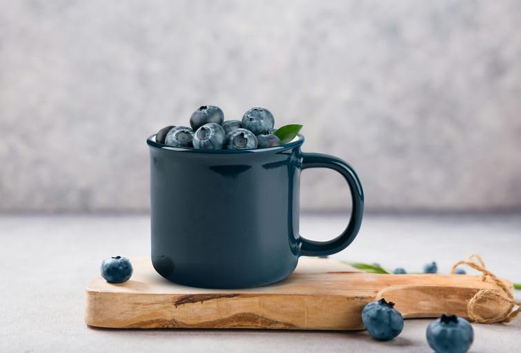 KooK Camping Mug, Camping Coffee Mugs, Urban Outdoor Hiking Coffee Cup, Ceramic, Camp Casual, for Campfire, Tea, Hot Chocolate, Soup, Microwave and Dishwasher Safe, 14 oz, Set of 2 Navy Blue