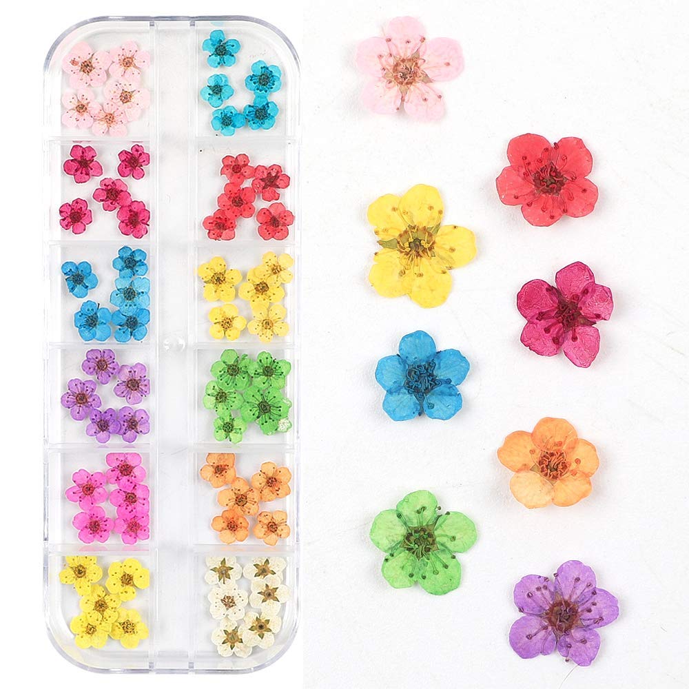 Valuu 3D Nail Dried Flowers StickerïŒ60 Five Petal Flower 12 Colors Natural Real Dry Flower Nail Stickers ïŒ60 FlowersïŒ