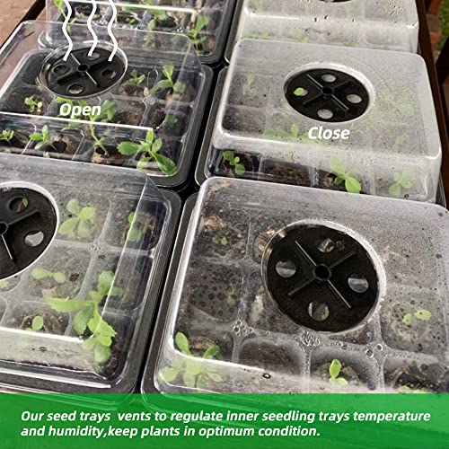 Anothera 30-Set Seed Starter Tray and Garden Propagator Kit (12 Cells Per Tray,Total 360 Cells) with Adjustable Humidity Dome and Base Greenhouse Grow Trays for Seeds Growing Starting(Dark Green)