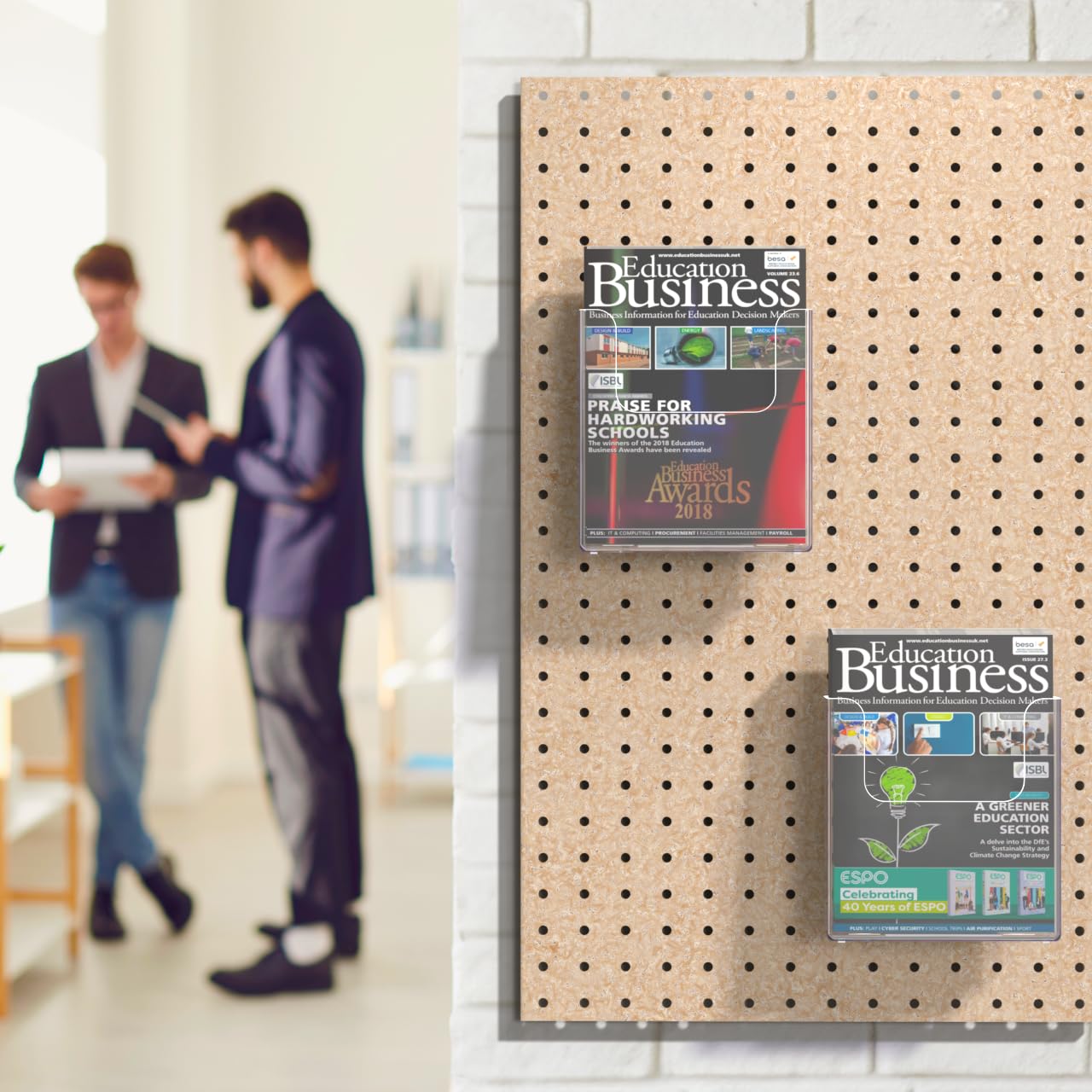Marketing Holders 12 Pack Peg Board 6.5" W Brochure Holder Pamphlet Display Catalog Booklet Maps Literature Printed Material Menu Clear Acrylic