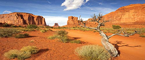 Reptile Habitat Background; Monument Valley with Tree, for 48Lx18Wx36H Terrarium, 3-Sided Wraparound