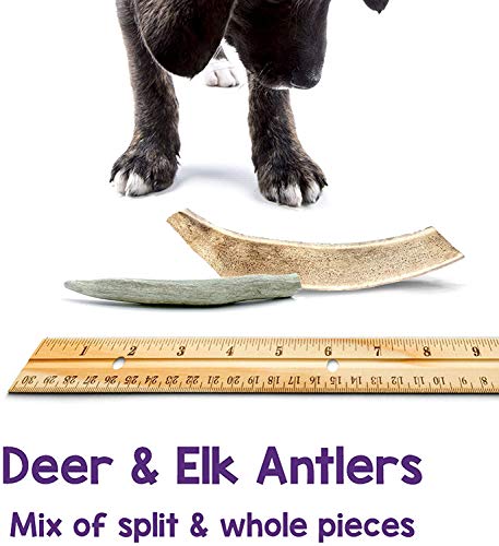 Nature Gnaws Antlers for Dogs - Premium Natural Deer and Elk Antler Chews - Long Lasting Dog Chews for Aggressive Chewers - Mix of Split and Whole