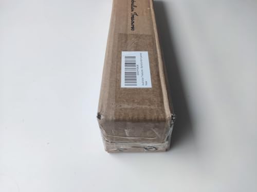 Australian Treasures - Rainstick 40cm carved including bag