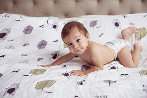 Clover & Sage Organic Muslin Baby Toddler Blanket - 100% Hypoallergenic Cotton Bed Blankets - Cuddle Bears
