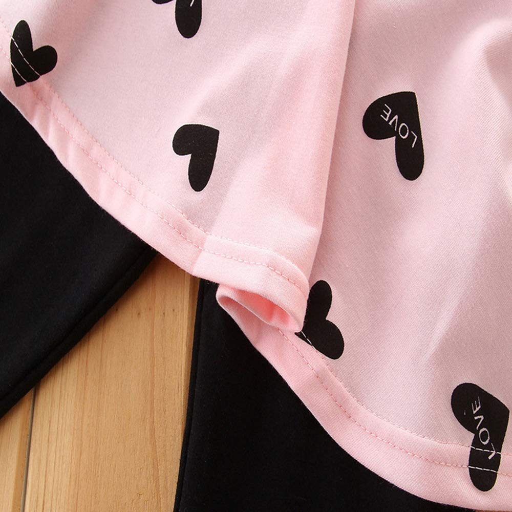 Little Girl Clothes Infant Outfits Set 2 Pieces Long Sleeved Tops and Pants (Pink, 2-3 T)