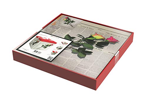 Gift Box 10"X10"X10" - Les Roses Collection - Easy to Assemble & Reusable - No Glue Required - Ribbon, Tissue Paper, and Gift Tag Included - EZ Gift Box by Endless Art US