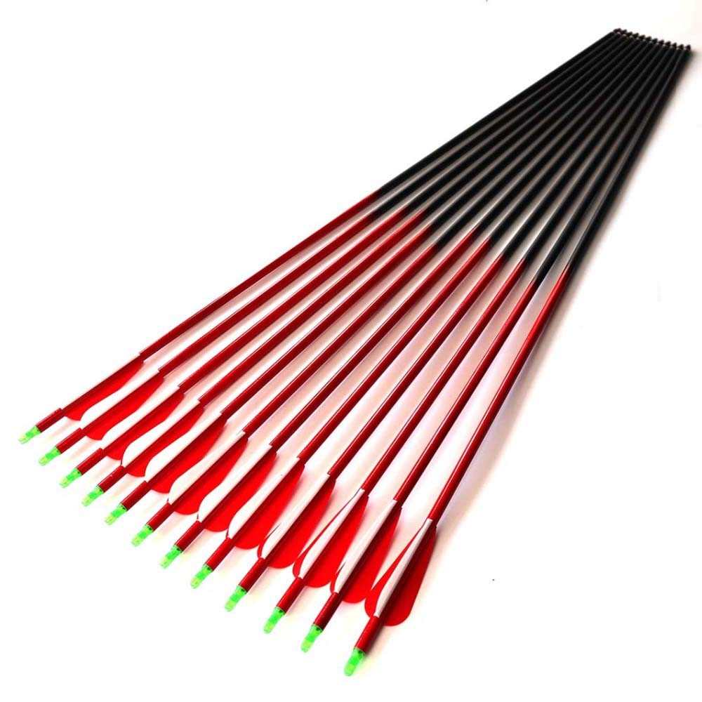 30" Carbon Arrows 700 Spine Archery Target Practice Hunting Arrow with Field Tips Removable for Compound Recurve Bow Longbow 12 Pack