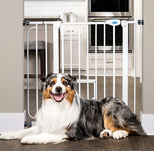 Carlson Extra Wide Walk Through Pet Gate with Small Pet Door, Includes 4-Inch Extension Kit, Pressure Mount Kit and Wall Mount Kit,White