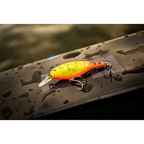 Berkley Flicker Shad Shallow Fishing Lure, Firetail Hot Perch, 2/7 oz, 2 3/4in | 7cm Crankbaits, Size, Profile and Dive Depth Imitates Real Shad, Equipped with Fusion19 Hook