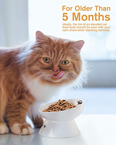 immaculife Ceramic Raised Cat Food Bowl, Slanted Cat Dish, Tilt Angle Protect Cat's Spine, Stress Free, Backflow Prevention