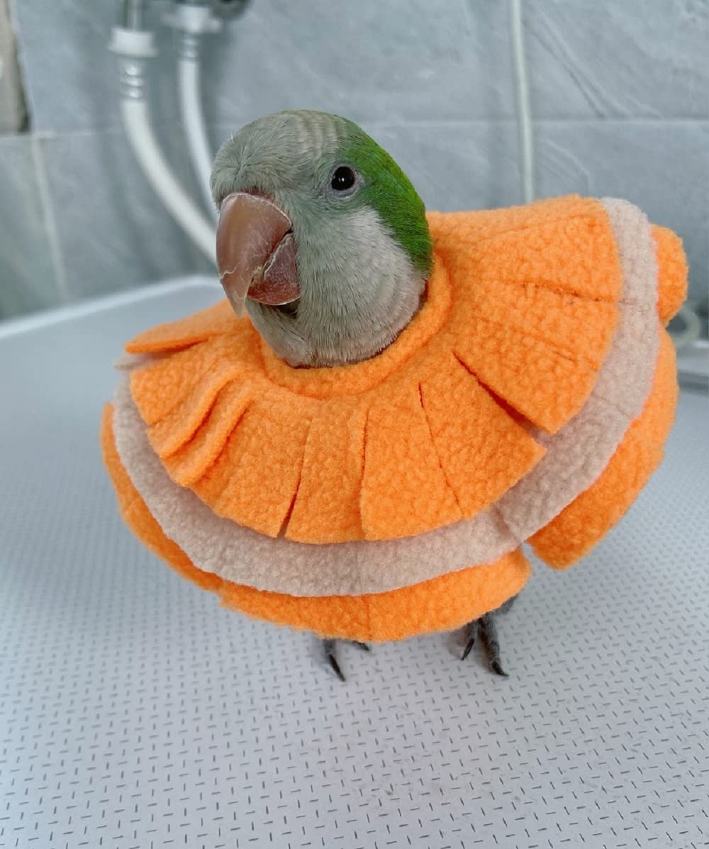 Adjustable Parrot Cone Collar, Safe and Practical Cotton Collar to Prevent Bites and Licking Wounds, to Help heal (4XL)