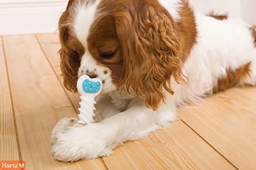 Hartz Chew ‘n Clean Twisty Bone Dog Chew Toy, Bacon Scented for Moderate Chewers, Extra Small